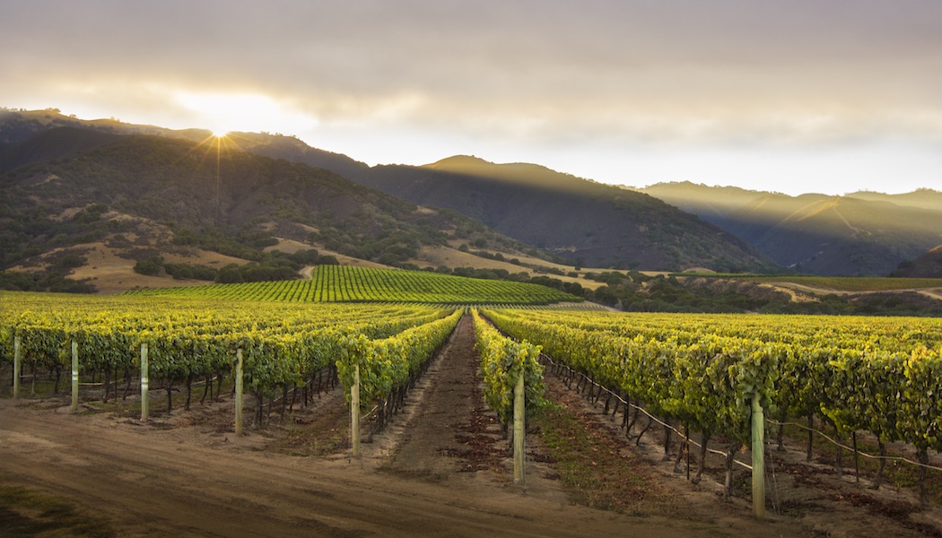 California's Hidden Gem: Santa Lucia Highlands AVA | Santa Lucia Highlands