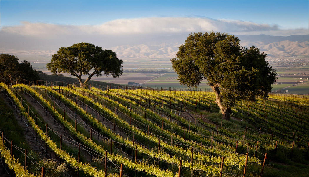 The Santa Lucia Highlands AVA has some of the most famous Pinot Noir ...